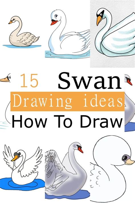 15 Swan Drawing Ideas How To Draw Swan DIYsCraftsy