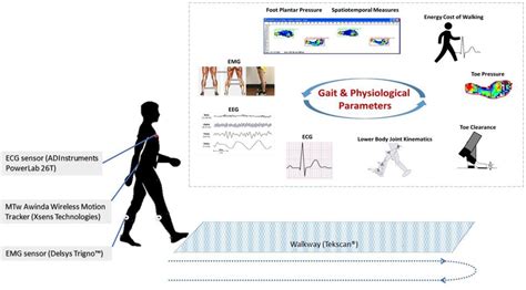 Frontiers Present And Future Of Gait Assessment In Clinical Practice Towards The Application