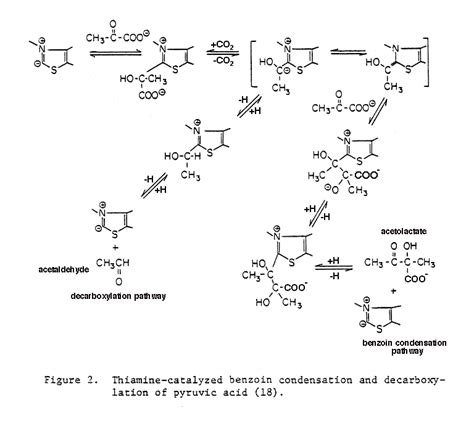 Reactions Of Thiamine Pyrophosphate