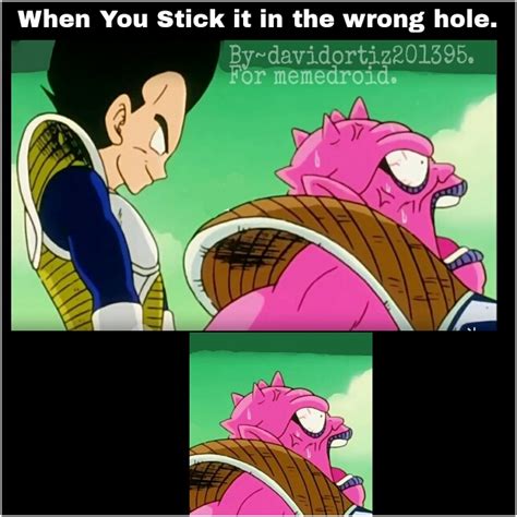 The Wrong Hole Meme By Davidortiz201395 Memedroid