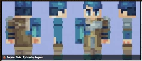 python minecraft skin