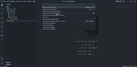 Import Could Not Be Resolved For Local Packages And Modules Issue 3035 Microsoft Pylance