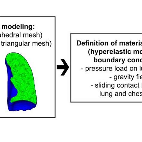 Lung Deflation Modeling Workflow In The First And Second Steps Blue Download Scientific