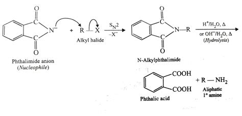 In The Gabriel Synthesis Of Primary Amines