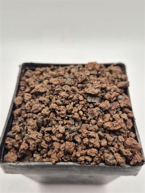 Volcanic Lapilli 2l Bag Cacti Ireland