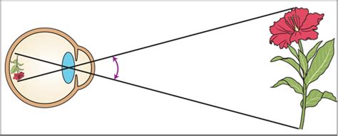 Visual Angle Fast Accurate Reliable Eye Tracking