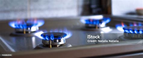 부엌 난로에서 파란 불의 클로즈업 불타는 화염이있는 4 개의 가스 버너 경제 개념 와이드 배너 가스렌지에 대한 스톡 사진 및 기타 이미지 Istock