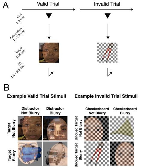 The Task And Stimuli A Example Trial Sequence Each Trial Began With
