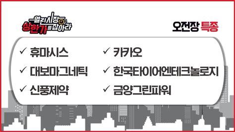 오전장 특종 휴마시스 대보마그네틱 신풍제약 카카오 한국타이어엔테크놀로지 금양그린파워 Youtube