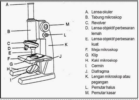 Gambar Bagian Dan Fungsi Mikroskop Monokuler Seo Pendidikan