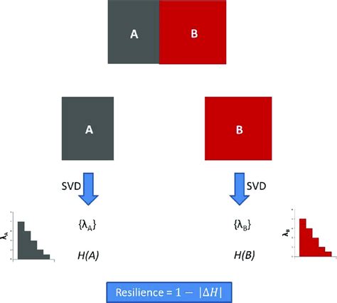 flowchart for the calculation of resilience comparing the variation of