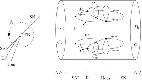 Double Takens Bogdanov Bifurcation Tb Left Bifurcation Curves Download Scientific Diagram
