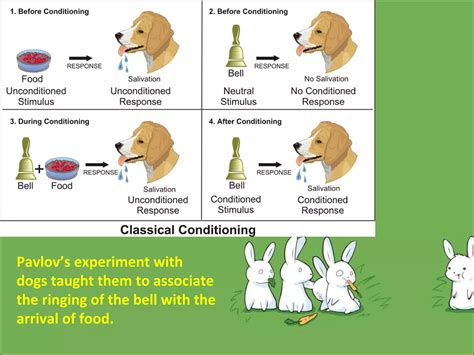 Behaviorist Learning Theories Ppt