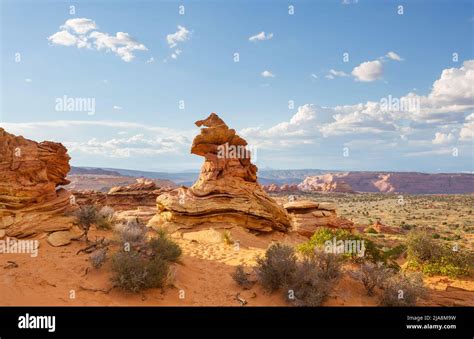Coyote Buttes Of The Vermillion Cliffs Wilderness Area Utah And