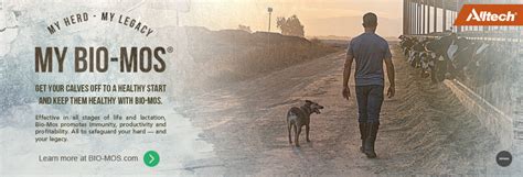 Alltech Bio Mos Products On Behance