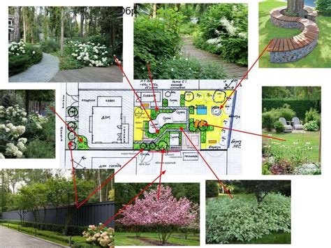 Как за 7 шагов сделать план сада Дизайн сада Сад Идеи устройства заднего двора