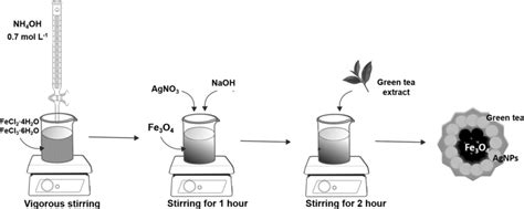 Schematic Representation Of The Synthesis Of Fe3o4 Ag Nps Firstly