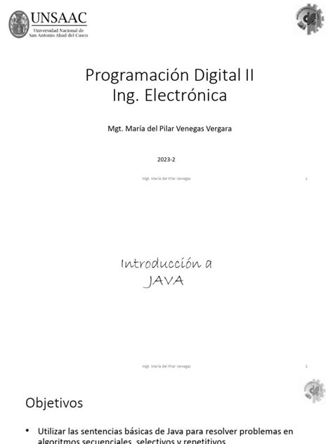 Curso De Programación En Java Pdf Java Lenguaje De Programación