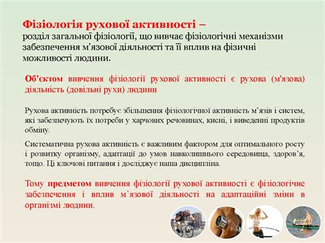 Фізіологічні аспекти рухової активності людини презентация онлайн