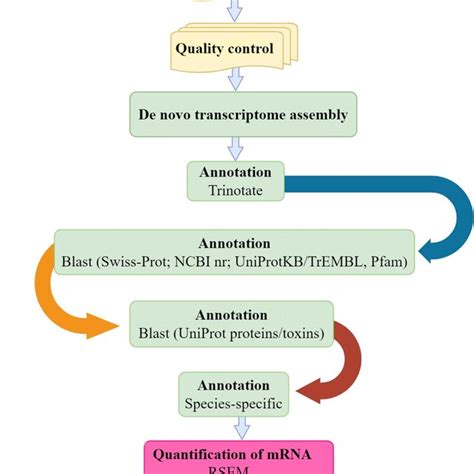 overview of experimental and computational analyzing workflow briefly