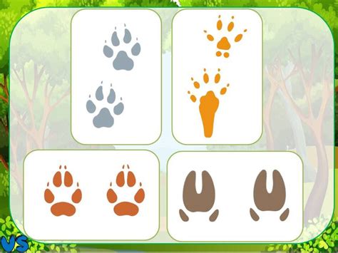 Дидактична гра Де чиї сліди Інші методичні матеріали Гра