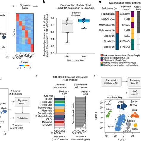 Bulk Tissue Deconvolution With Single Cell Reference Profiles A Left