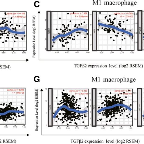 Correlation Analysis Between TgfΒ2 Expression And Immunological Marker Download Scientific
