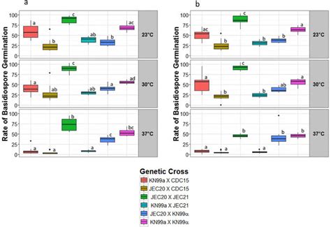 The Distribution Of Germination Rates Of Cryptococcus Basidiospores On Download Scientific