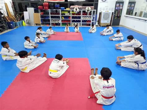 The Stealth The Stealth Martial Arts Taekwondo Academy