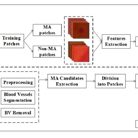Illustration Of The Proposed Ma Detection Method Download Scientific