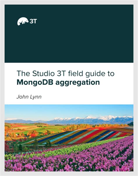 The Studio 3t Field Guide To Mongodb Aggregation Studio 3t