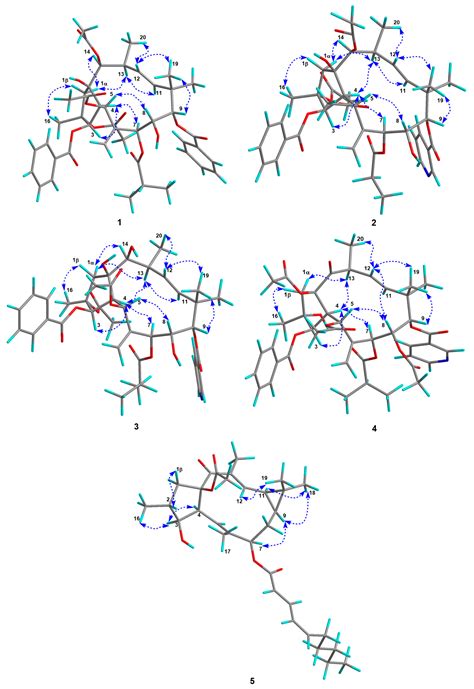 Macrocyclic Diterpenoids From Euphorbia Peplus Possessing Activity Towards Autophagic Flux