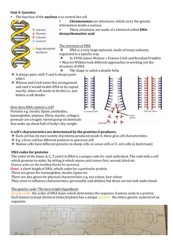 Gcse Ccea Double Award Biology Genetics Revision Notes Teaching Resources