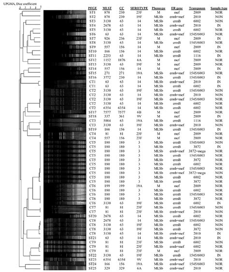 UPGMA Dendrogram Showing PFGE Patterns Of Clinical IN Invasive NON