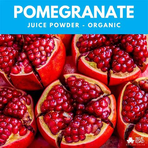 Energy Beverage Blue Toad Botanicals