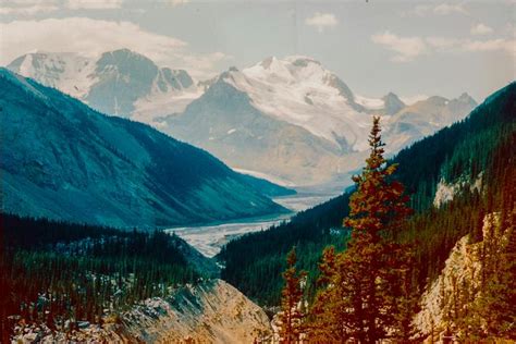 巧用 Reactcomponentprops 提取组件属性类型 知乎