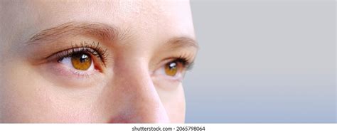 Thousand Eye Tracking Royalty Free Images Stock Photos Pictures Shutterstock