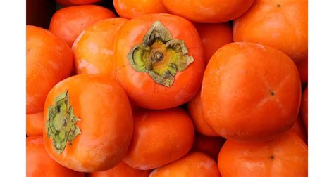 How To Tell If A Persimmon Is Ripe And Tasty Practical Cooks