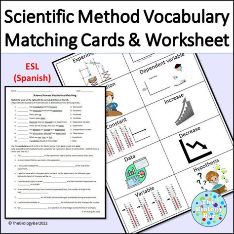 Scientific Method Vocabulary Cards And Worksheet Worksheets Library