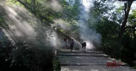 古道悠悠6月4日 行摄唐诗之路 新昌天姥山谢公道 搜狐大视野 搜狐新闻