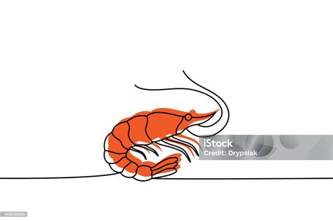 새우 한 줄 색깔의 연속 드로잉 세트 새우 연속 한 줄 다채로운 세트 일러스트레이션 벡터 미니멀리스트 선형 일러스트레이션 1에 대한 스톡 벡터 아트 및 기타 이미지 Istock