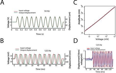 measurement of vibration detection threshold and tactile spatial acuity