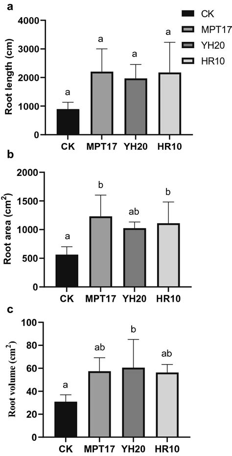 Root Indexes After Inoculation Of Different Treatment Groups A Root Download Scientific