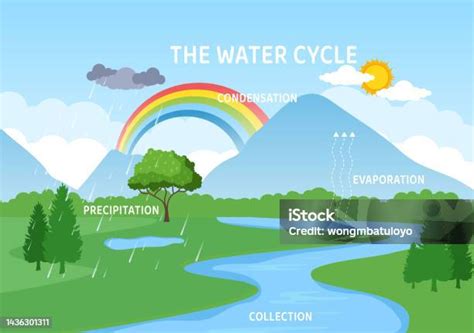 증발의 물주기 응축 평평한 만화 손으로 그린 템플릿 일러스트레이션에 지구 자연 환경에서 수집에 강수량 물순환에 대한 스톡 벡터 아트 및 기타 이미지 Istock