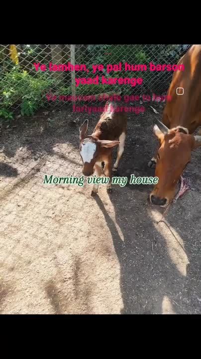 Narendra Singh Chouhan Posted On Linkedin