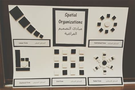Spatial Organizations Architecture Model Trees Conceptual Architecture