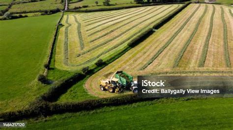 뉴 홀랜드 Fx68 수확기의 조감도 사일리지를 위해 잔디를 계약하는 Nc 트레일러가 있는 Deutz Fahr 트랙터 0명에 대한 스톡 사진 및 기타 이미지 Istock