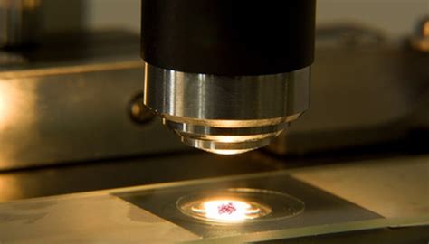 How To Calculate The Field Of View In A Microscope Sciencing