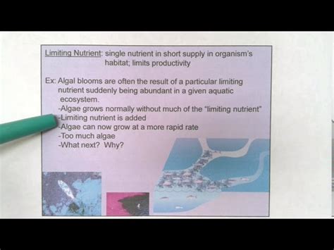 Limiting Nutrient Limiting Nutrient