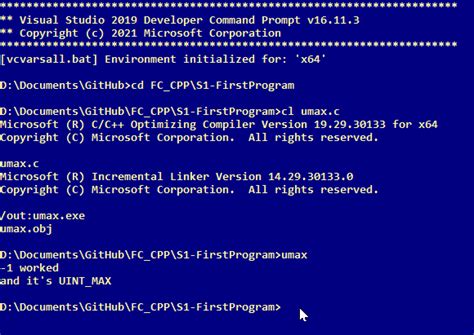 Comparison To 1 Of Unsigned Integer · Raysan5 Raylib · Discussion 2054 · Github